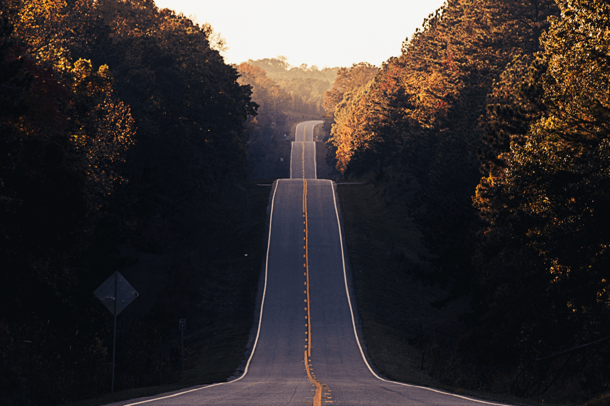 Gestalt Principle: Continuation (Visual Perception of Continuous Flows ...