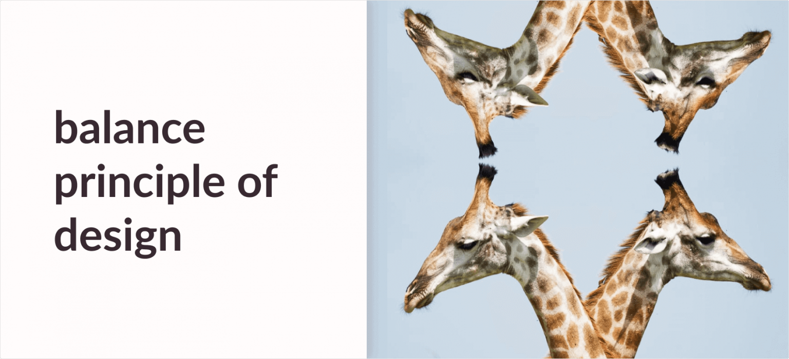 Balance Principle of Design [Infographics Included] - ux360.design