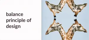 Balance Principle of Design [Infographics Included] - ux360.design